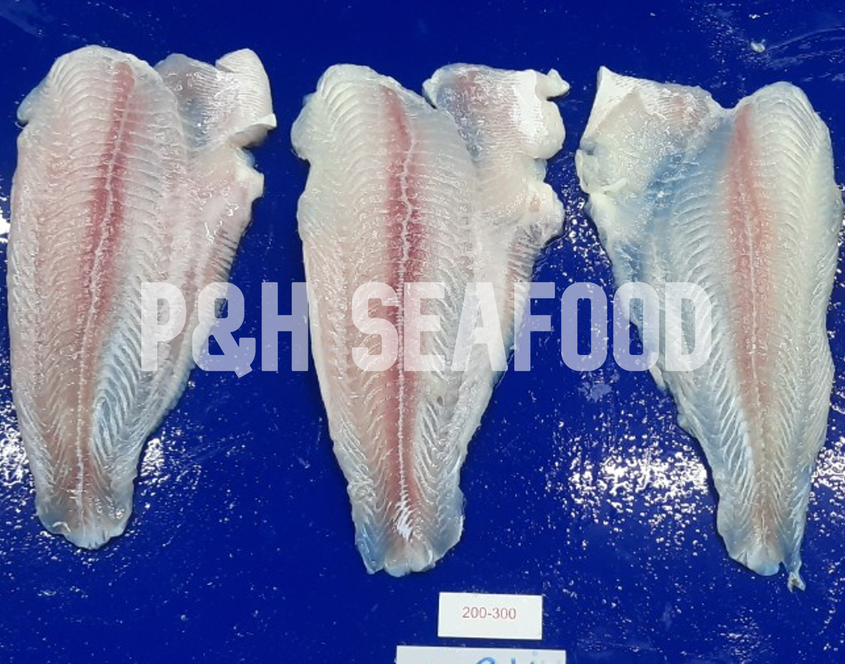 Un-trimmed Pangasius Fillet – P&H Seafood
