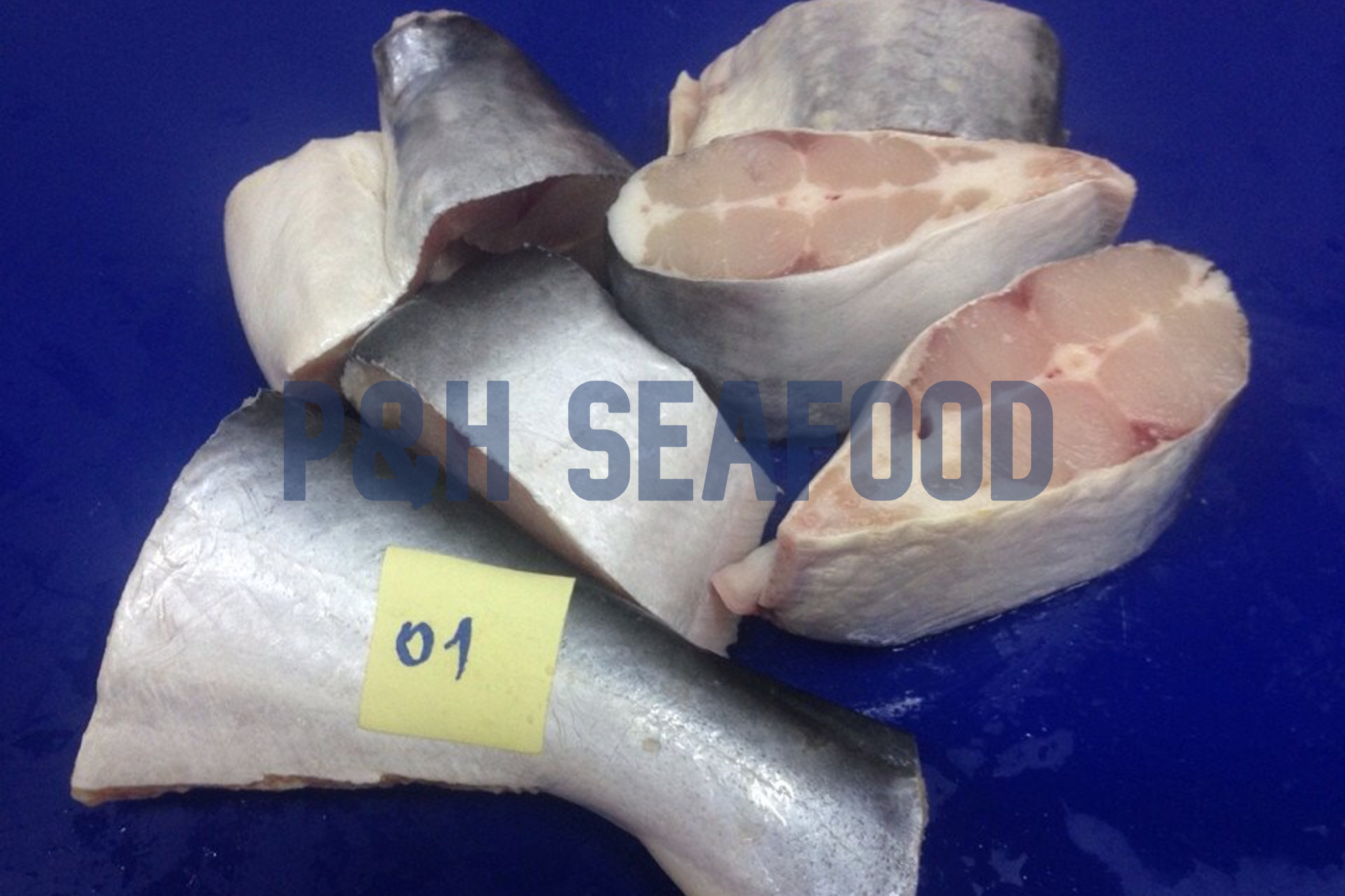 Pangasius Steak – P&H Seafood